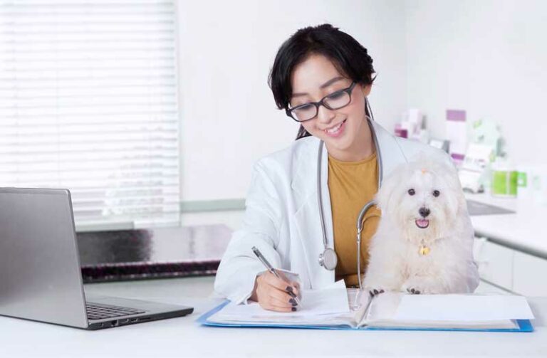 Resources, virtual assistants for hire - My Mountain Mover